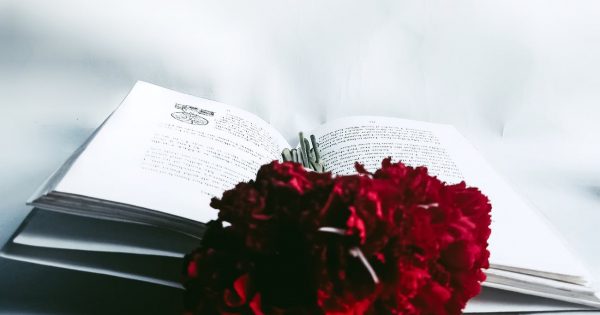 Ζωδια 6/11 Αφροδιτη στον Αιγοκερω – Αναλυτικες προβλεψεις για καθε ...