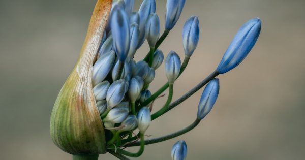 Ζωδια 06/9 Η Νεα Σεληνη στην Παρθενο φερνει την ευκαιρια να ...