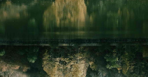 Ζωδια 21/04 Ερμης αναδρομος στον Ταυρο μεχρι 15/5 – Αναλυτικες ...